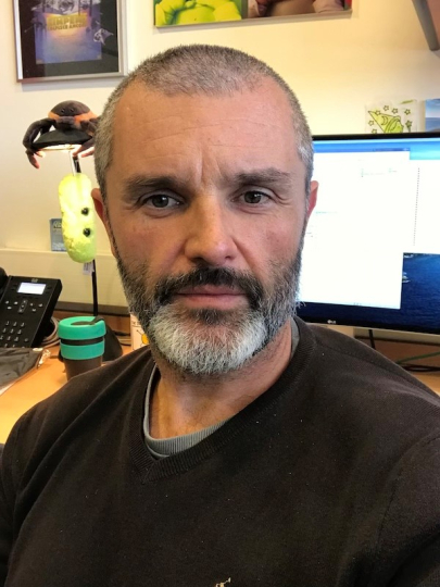 Matteo Bonazzi | INSB